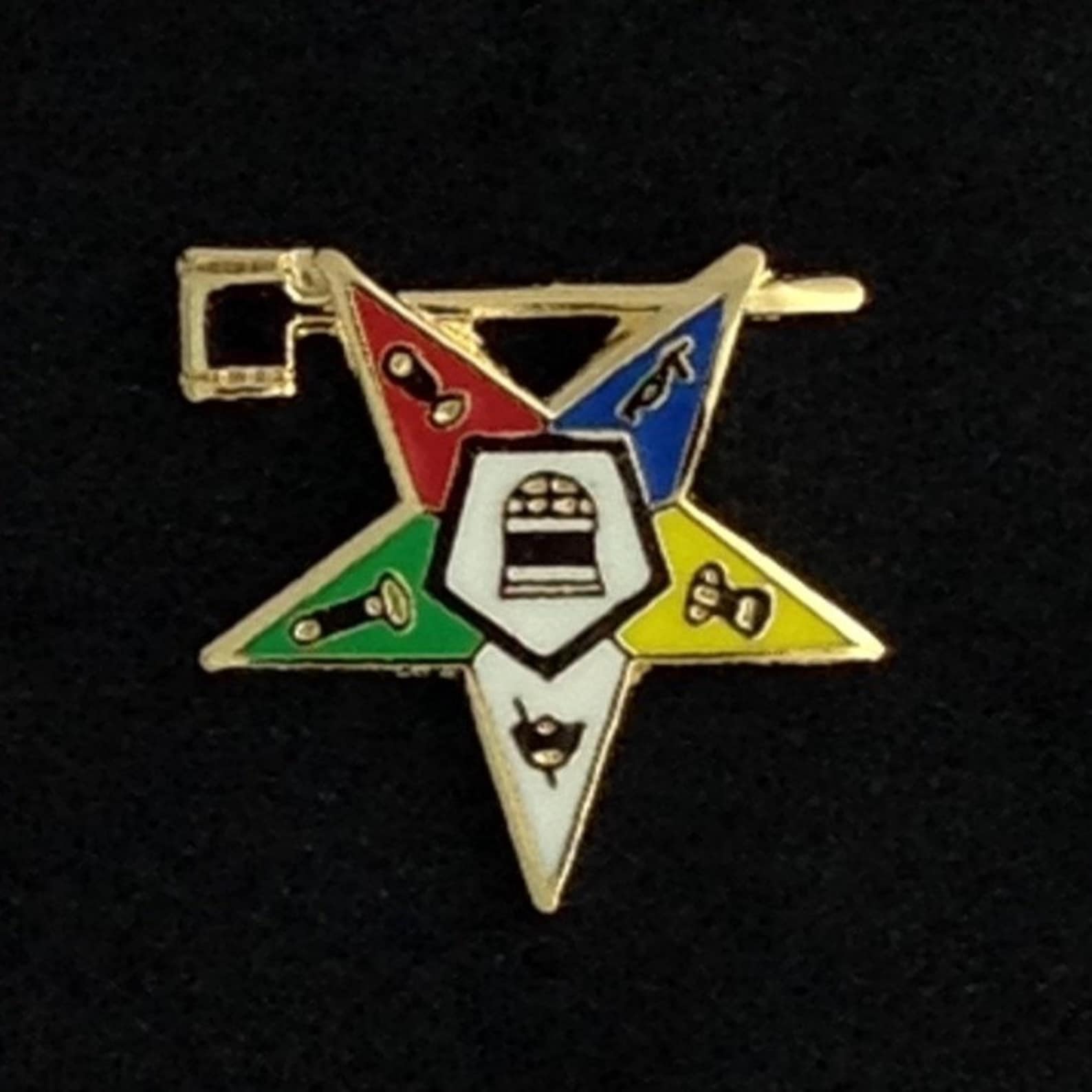Order of the Star Eastern Star Past Matron Lapel Pin - Etsy