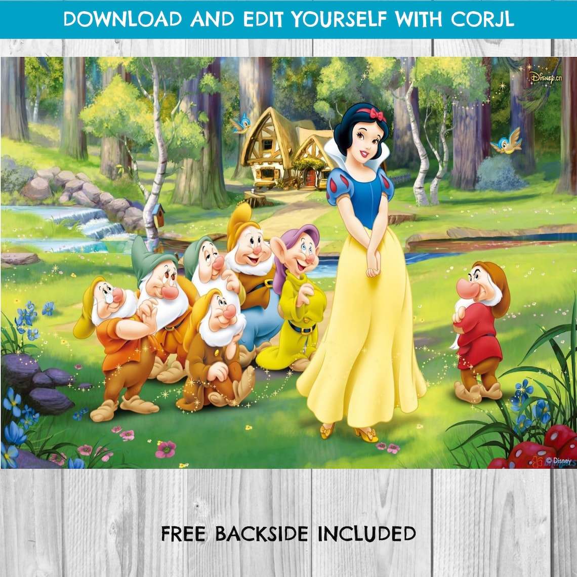 INSTANT DOWNLOAD Snow White Invitation Snow White Birthday | Etsy