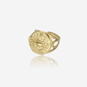 Personalized Gold Zodiac Ring, Engraved Astro Ring, Hammered Coin ...