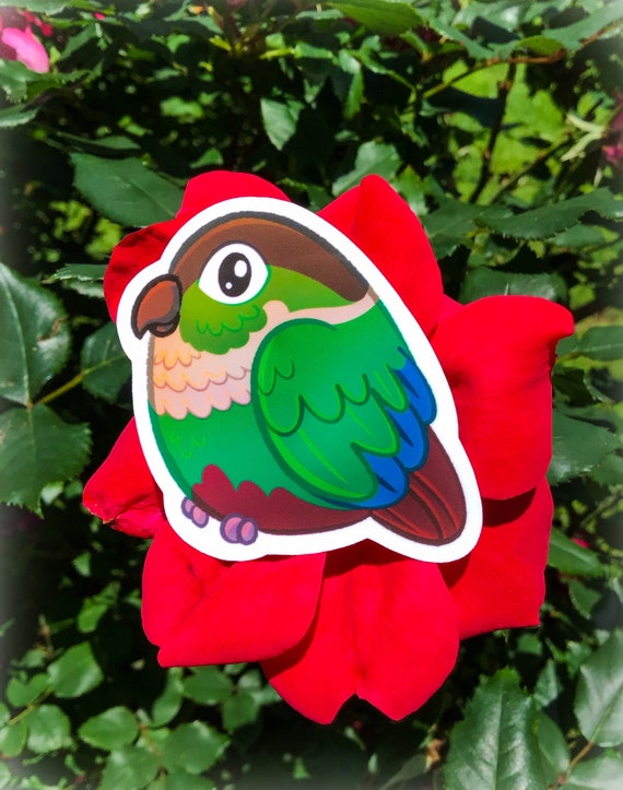 Green Cheek Conure Sticker/white Matte Waterproof Vinyl Decal - Etsy