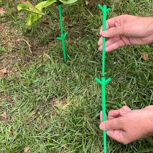 Fruit Tree, Plant Branch Support. Branch Holder. Plant Branch Holder ...
