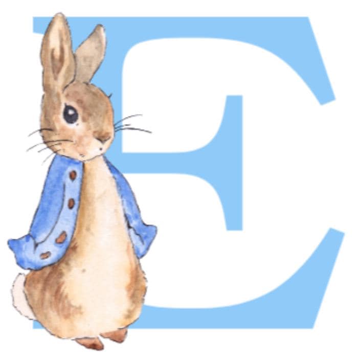 Gorgeous Peter Rabbit Vinyl Decal Sticker Digitally Cut - Just Peel and ...