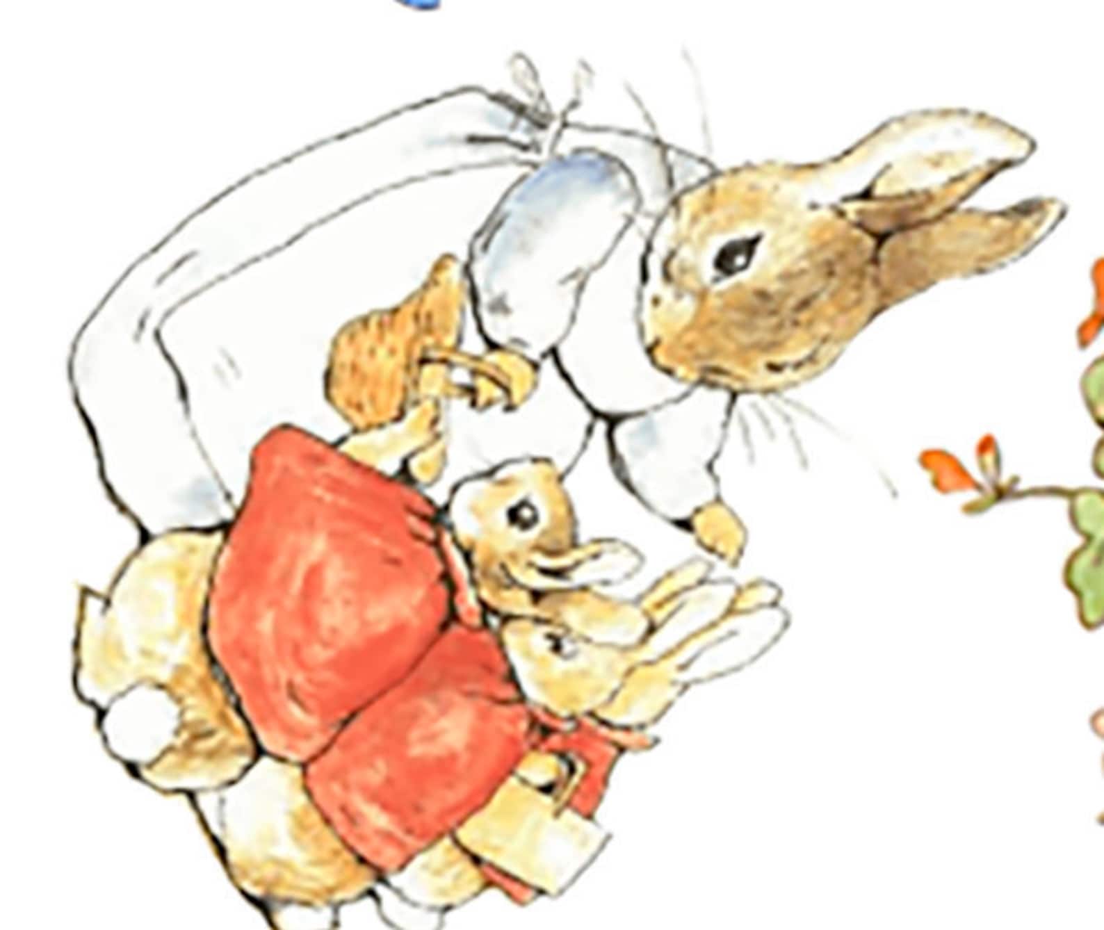 Gorgeous Peter Rabbit and Friends Vinyl Decals Stickers - Etsy UK