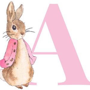 Gorgeous Peter Rabbit Vinyl Decal Sticker Digitally Cut Just Peel and ...