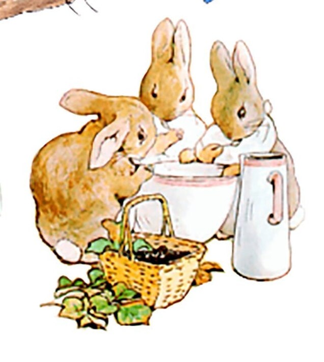 Gorgeous Peter Rabbit and Friends Vinyl Decals Stickers | Etsy