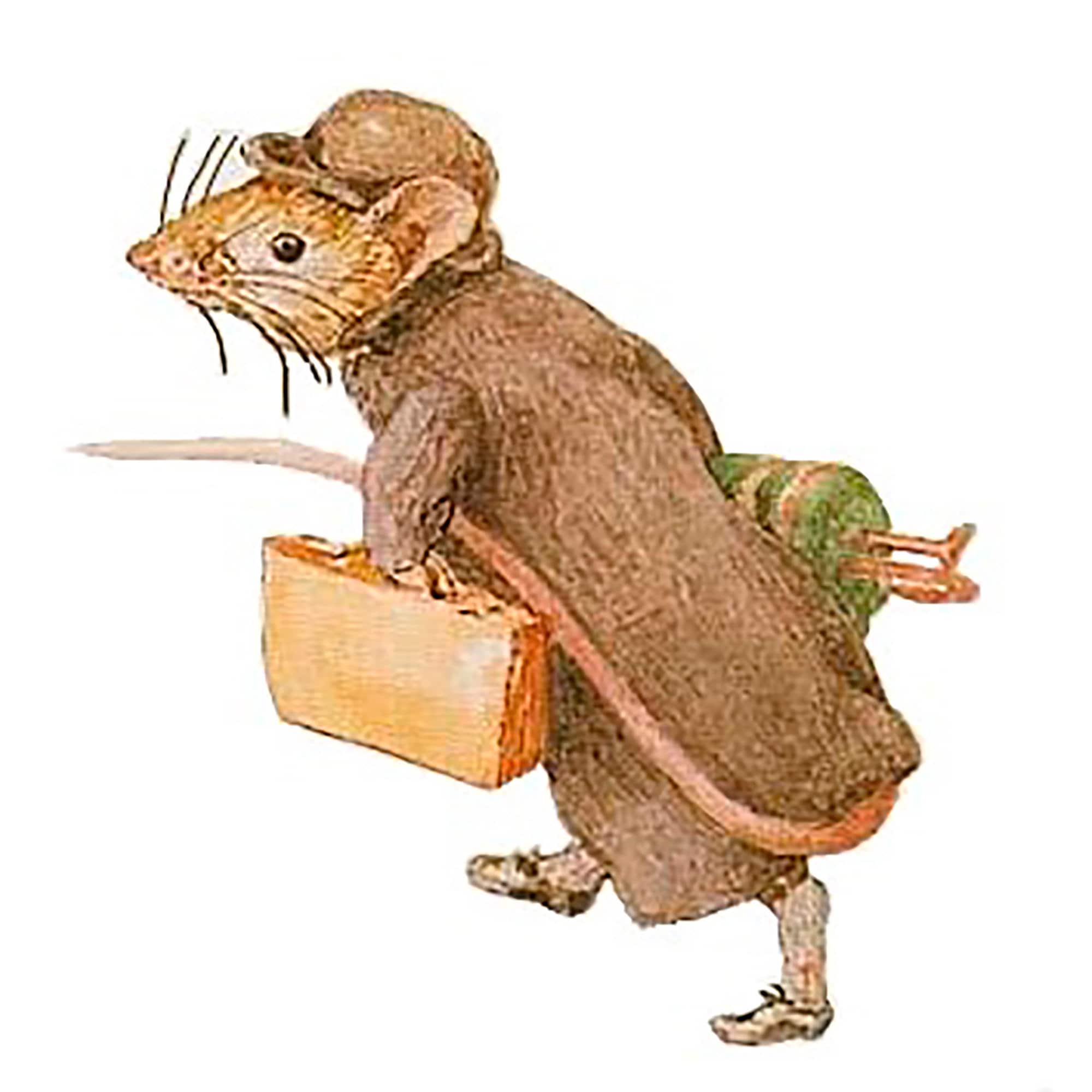 A CUTE MOUSE trompe L'oeil Transparent - Etsy