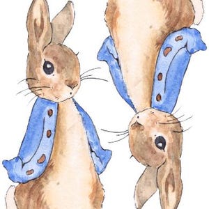 Gorgeous Peter Rabbit Vinyl Decal Sticker Digitally Cut - Just Peel and ...