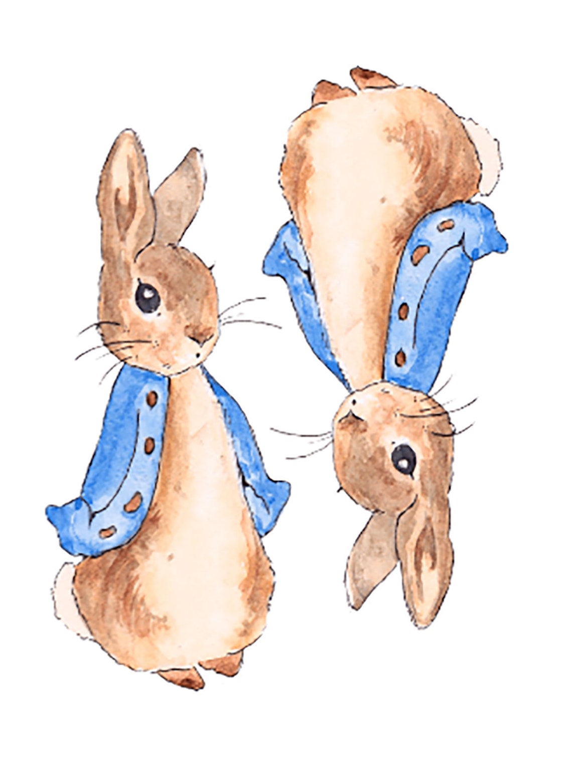 Gorgeous Peter Rabbit Vinyl Decal Sticker Digitally Cut Just - Etsy