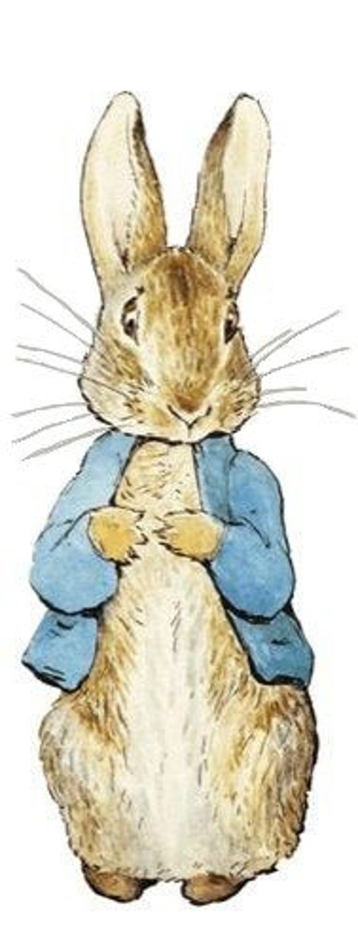 Gorgeous Peter Rabbit and Friends Vinyl Decals Stickers Digitally Cut ...