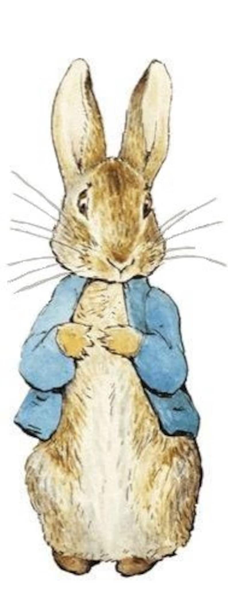 Gorgeous Peter Rabbit and Friends Vinyl Decals Stickers - Etsy UK