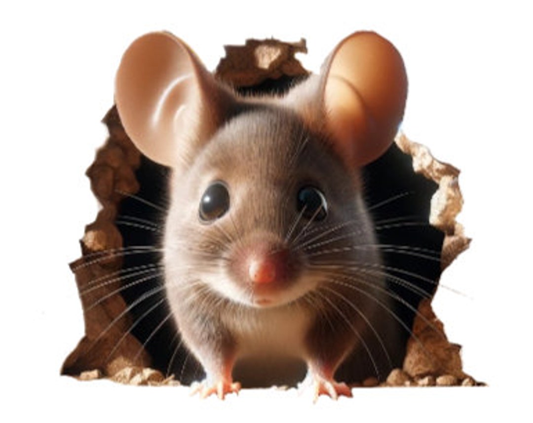 Cute Mouse Leaving His Hole Transparent Vinyl Decal "trompe L'oeil" 2. ...