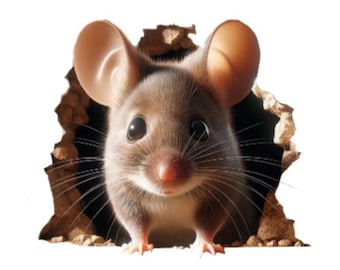 Cute Mouse in a Hole Transparent Vinyl Decal trompe L'oeil 2.75 X 2.75 ...