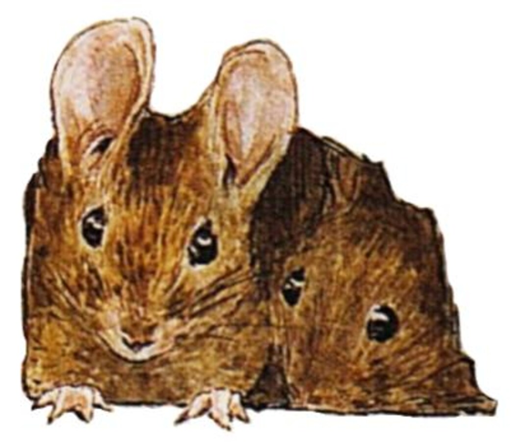 TWO BAD MICE "trompe L'oeil" Transparent Film Decal ( Wonderful ...