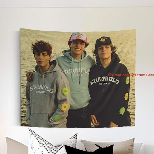Sturniolo Triplets Merch Room Decor - Etsy