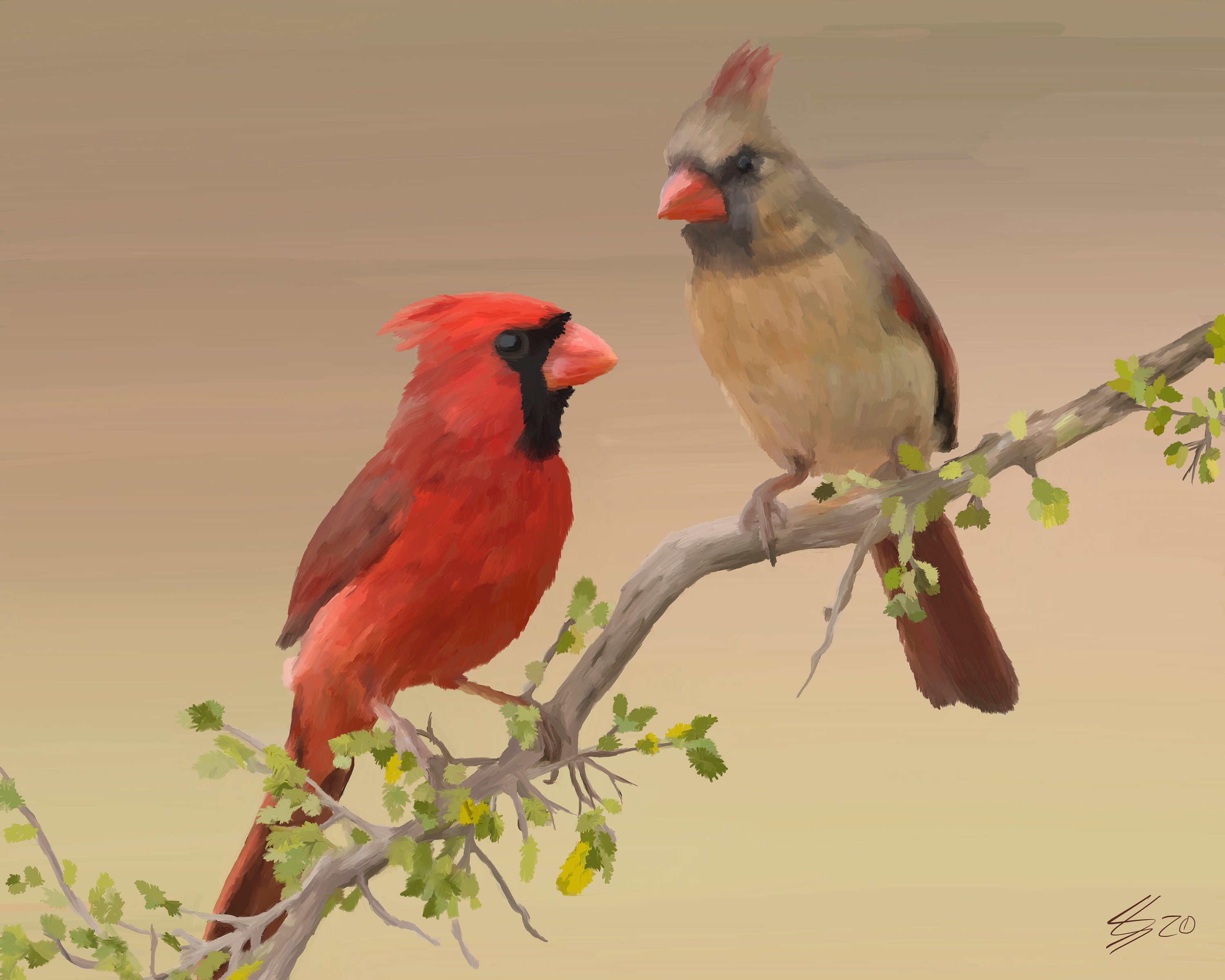 Cardinal Couple - Etsy