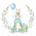 Peter Rabbit Birthday Celebration PNG - Etsy UK