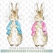 Peter Rabbit Birthday Celebration PNG - Etsy