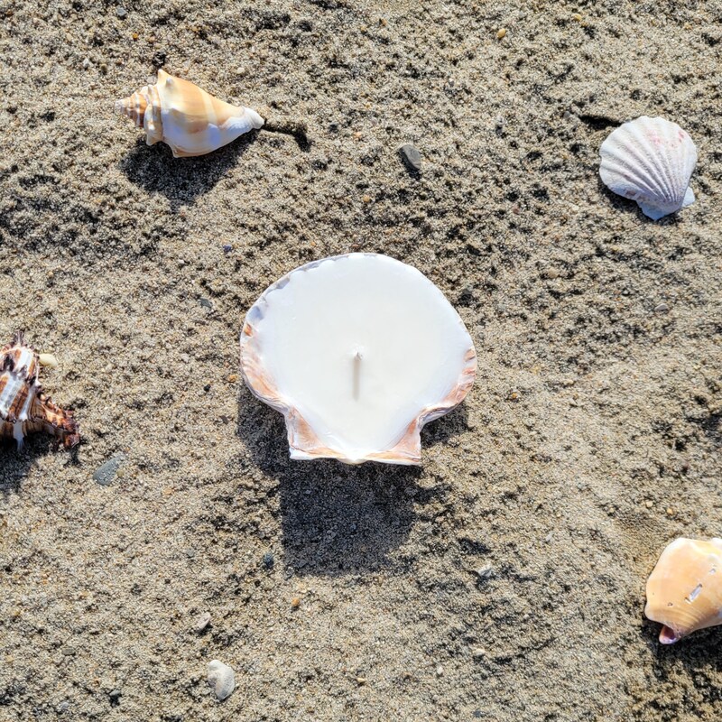 Seashell Candle - Etsy