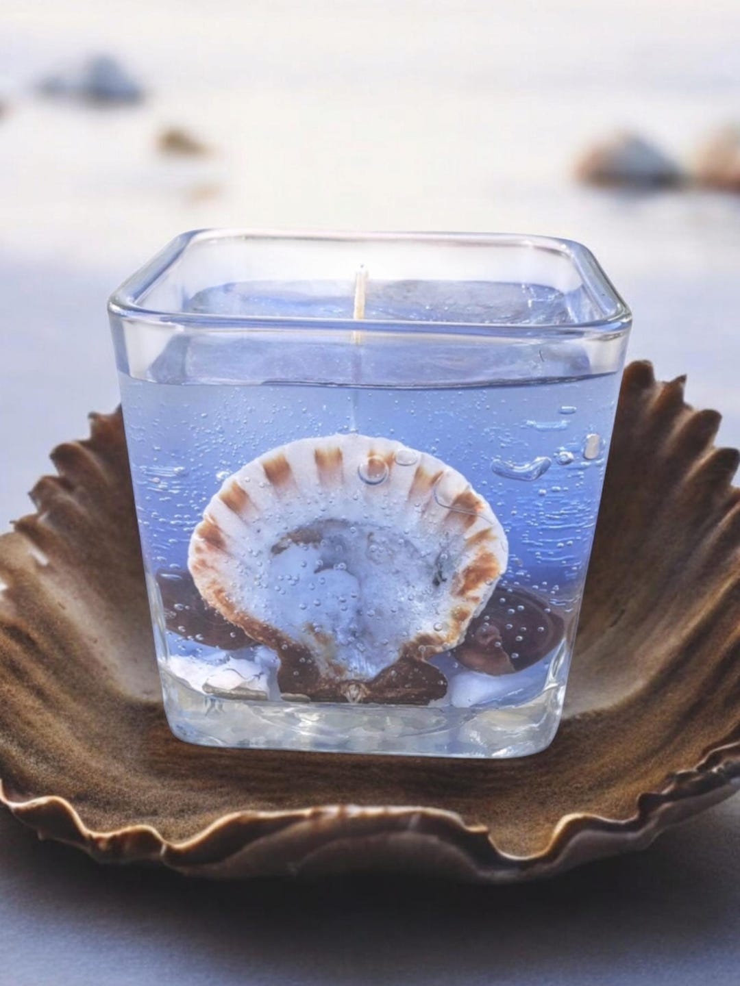 Scented Ocean Gel Candle: Seashell Decor, Reusable Glass - Etsy
