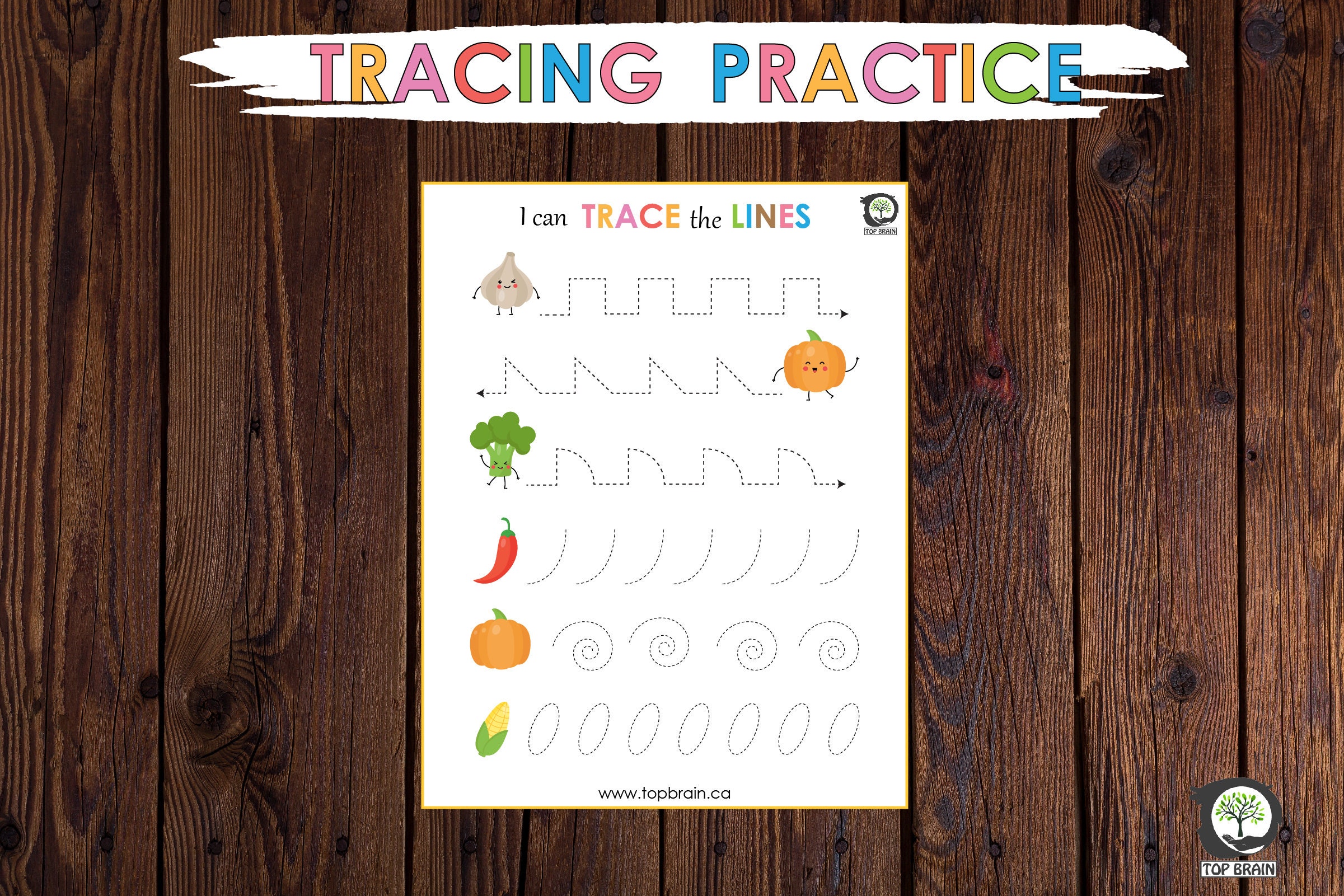 Toddler Busy Book Tracing Tracing Binder Worksheets - Etsy