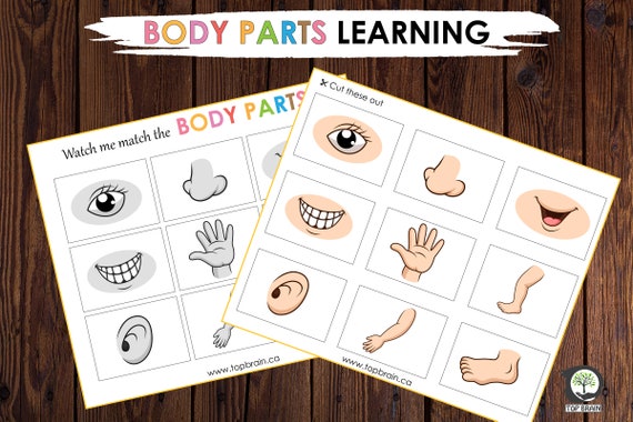 Match the Body Parts Toddler Activity Printable Early | Etsy