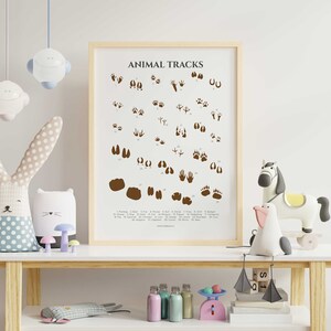 Animal Tracks Educational Posters Wall Art, Footprints, Playroom Prints ...