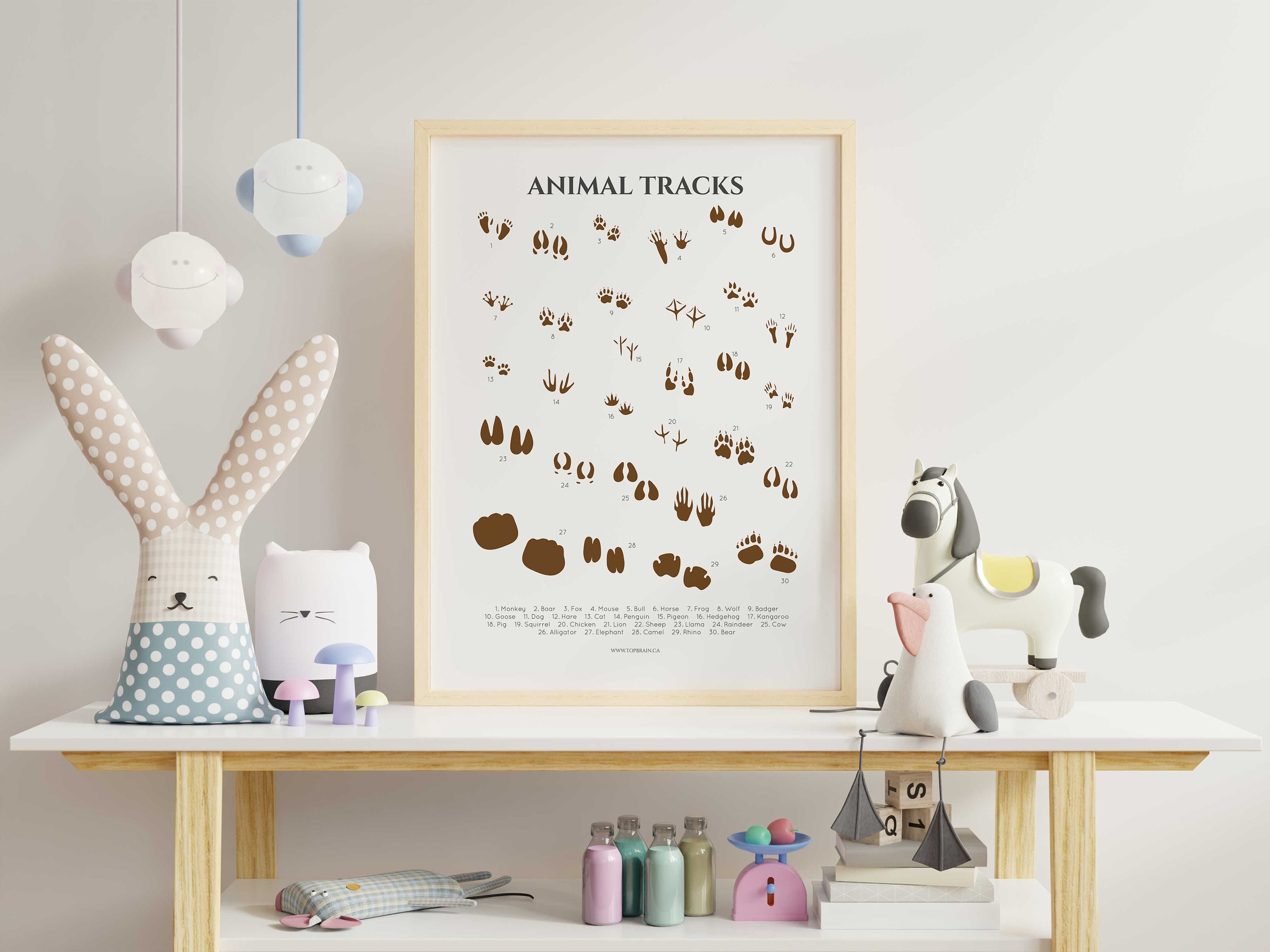 Animal Tracks Educational Posters Wall Art Footprints | Etsy