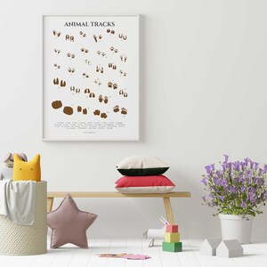 Animal Tracks Educational Posters Wall Art, Footprints, Playroom Prints ...