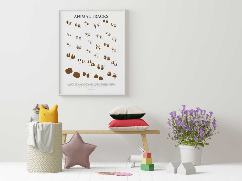Animal Tracks Educational Posters Wall Art Footprints | Etsy