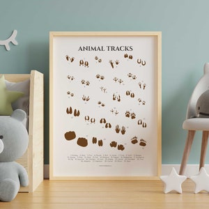 Animal Tracks Educational Posters Wall Art, Footprints, Playroom Prints ...