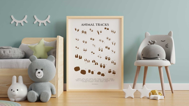 Animal Tracks Educational Posters Wall Art Footprints | Etsy