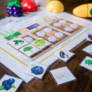 Color Sorting Busy Book Printable. Color Matching Game, Preschool Busy ...