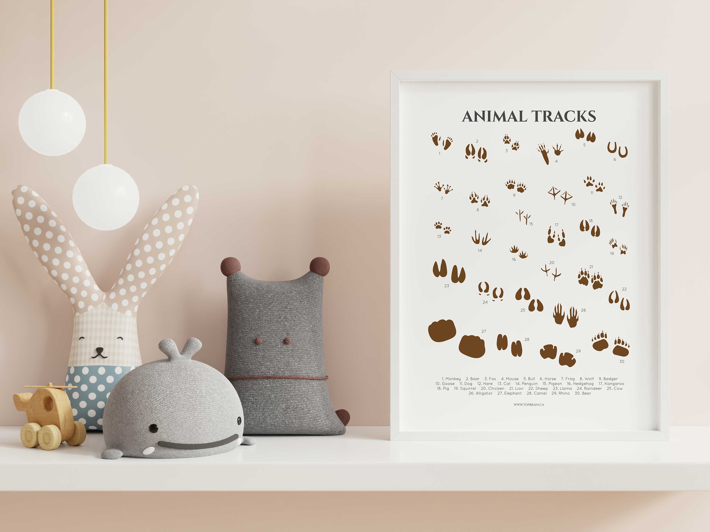 Animal Tracks Educational Posters Wall Art Footprints | Etsy