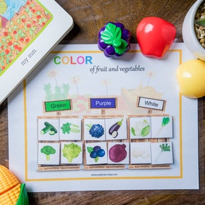 Color Sorting Busy Book Printable. Color Matching Game, Preschool Busy ...