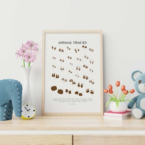 Animal Tracks Educational Posters Wall Art, Footprints, Playroom Prints ...