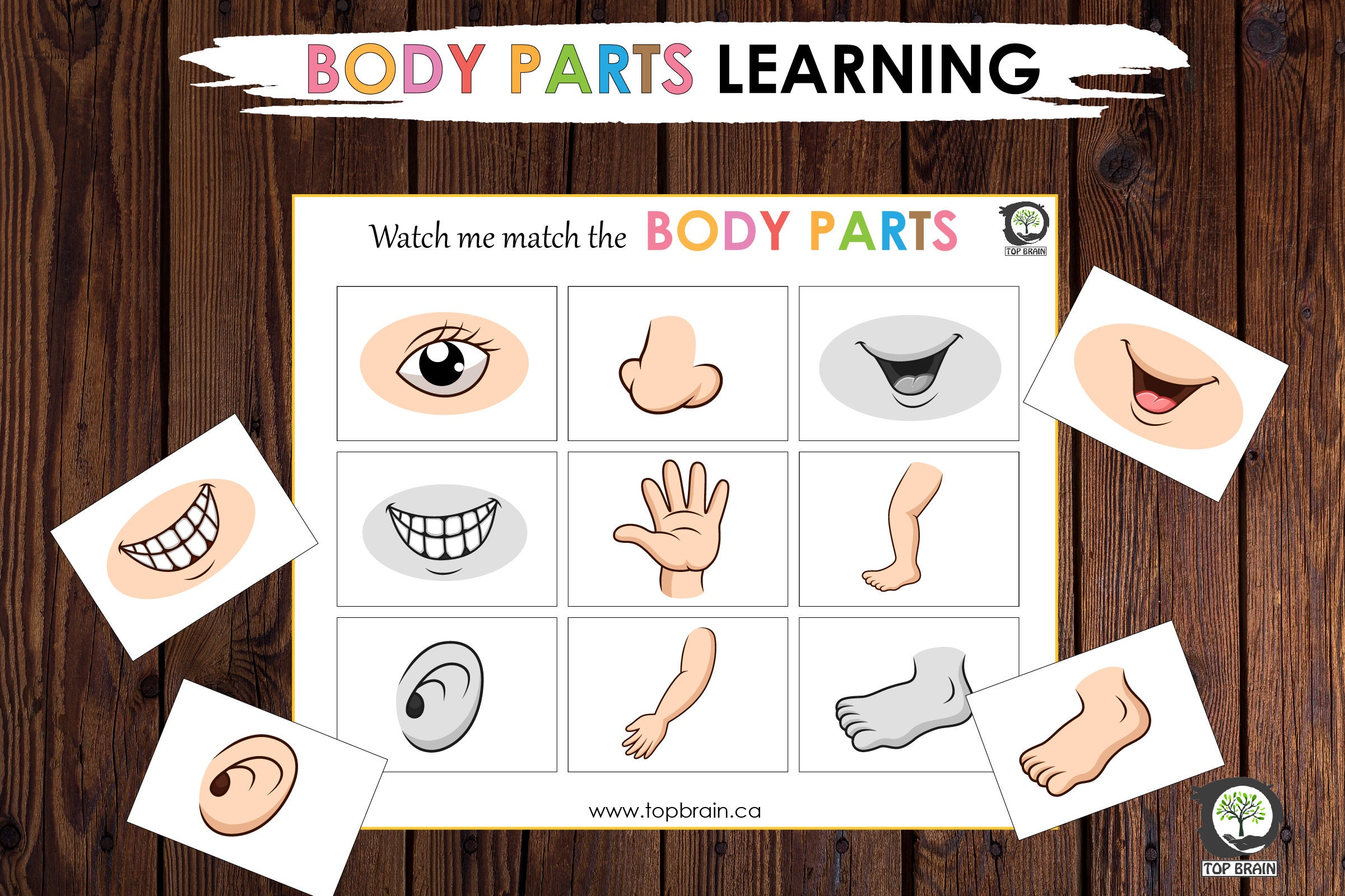 Match the Body Parts Toddler Activity Printable Early | Etsy