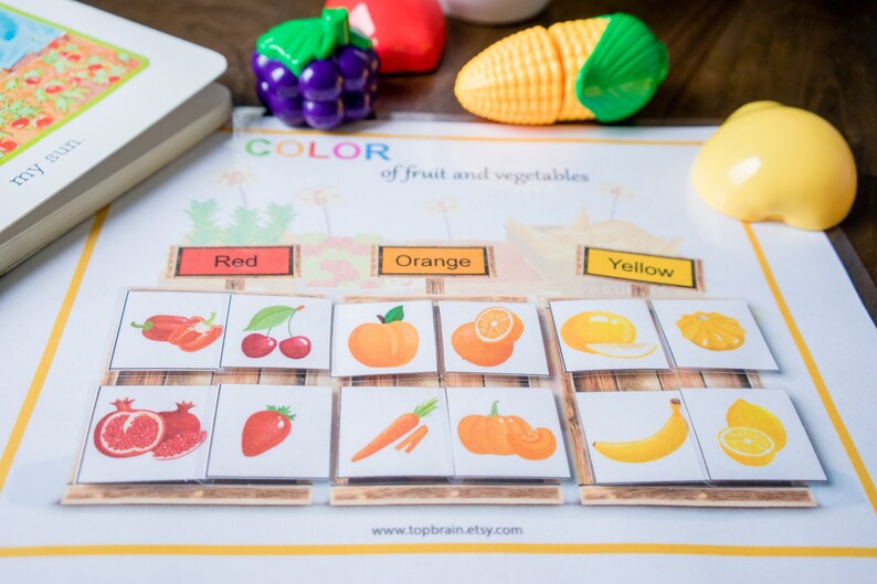 Color Sorting Busy Book Printable. Color Matching Game | Etsy