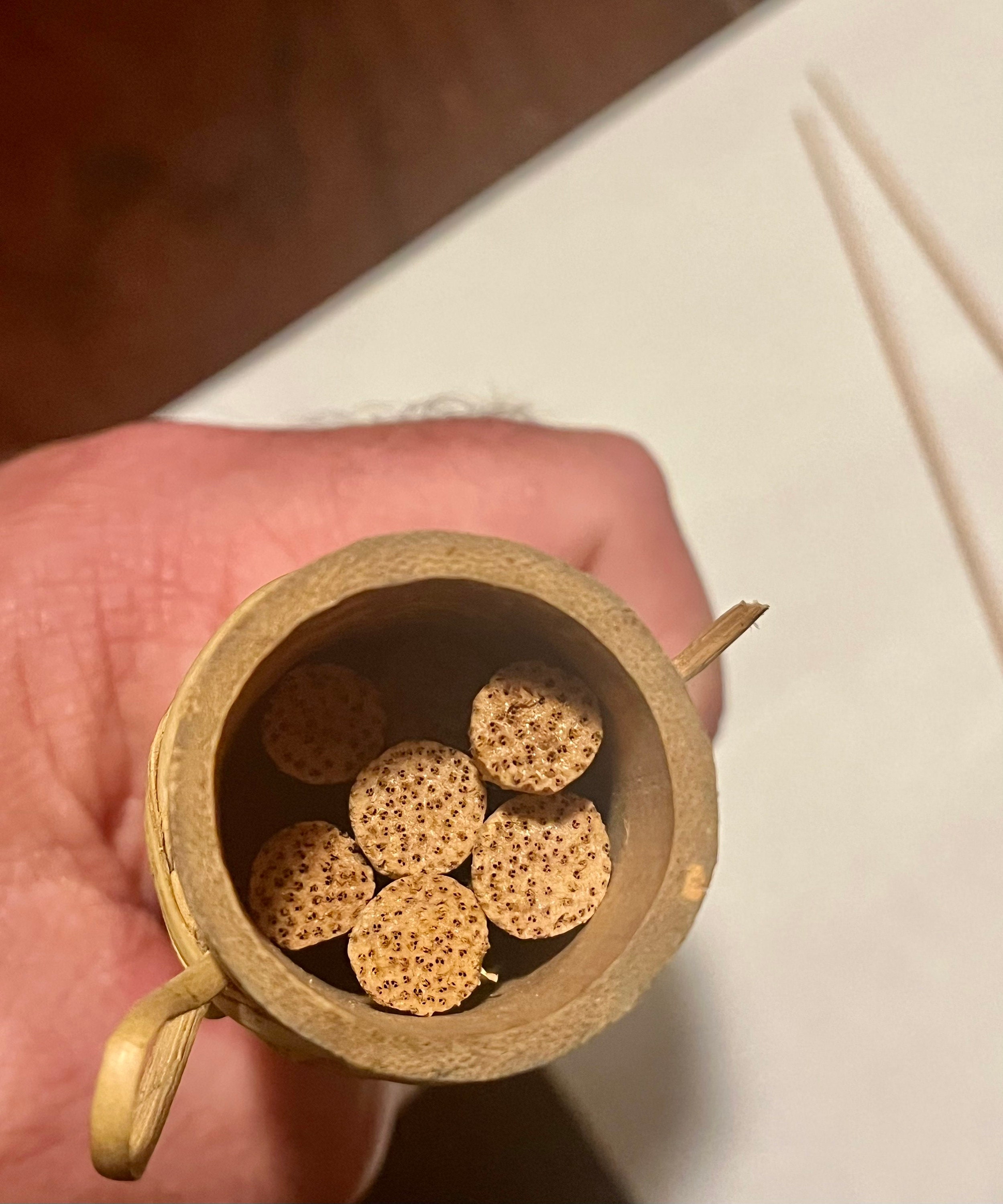Vintage Bamboo Poison Handmade Blowgun Darts and Case - Etsy