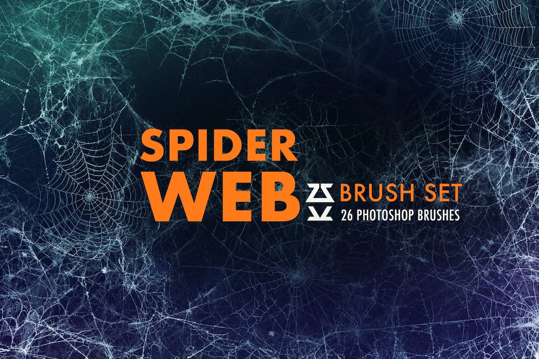 Spider Web Brush Set | Procreate | Photoshop | CSP | Texture Brushes - Etsy