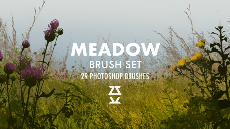 Meadow Brush Set | Procreate | Photoshop | CSP | Texture Brushes - Etsy