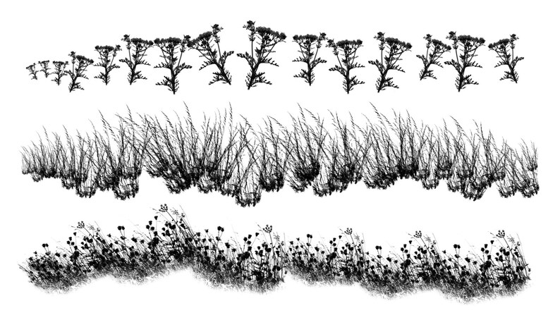 Meadow Brush Set | Procreate | Photoshop | CSP | Texture Brushes - Etsy