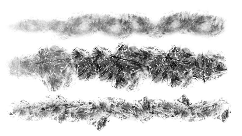 Monster Skin Brush Set | Procreate | Photoshop | CSP | Texture Brushes ...