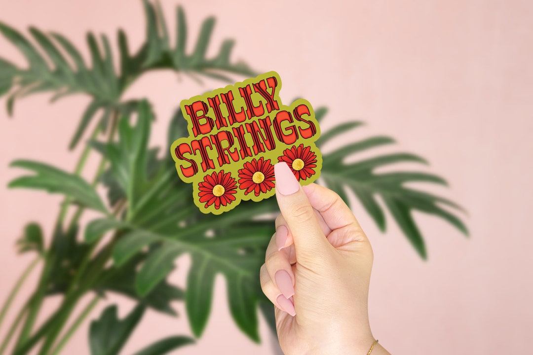 Billy Strings Vinyl Sticker Red Daisy BMFS Bluegrass Laptop Decal Water ...