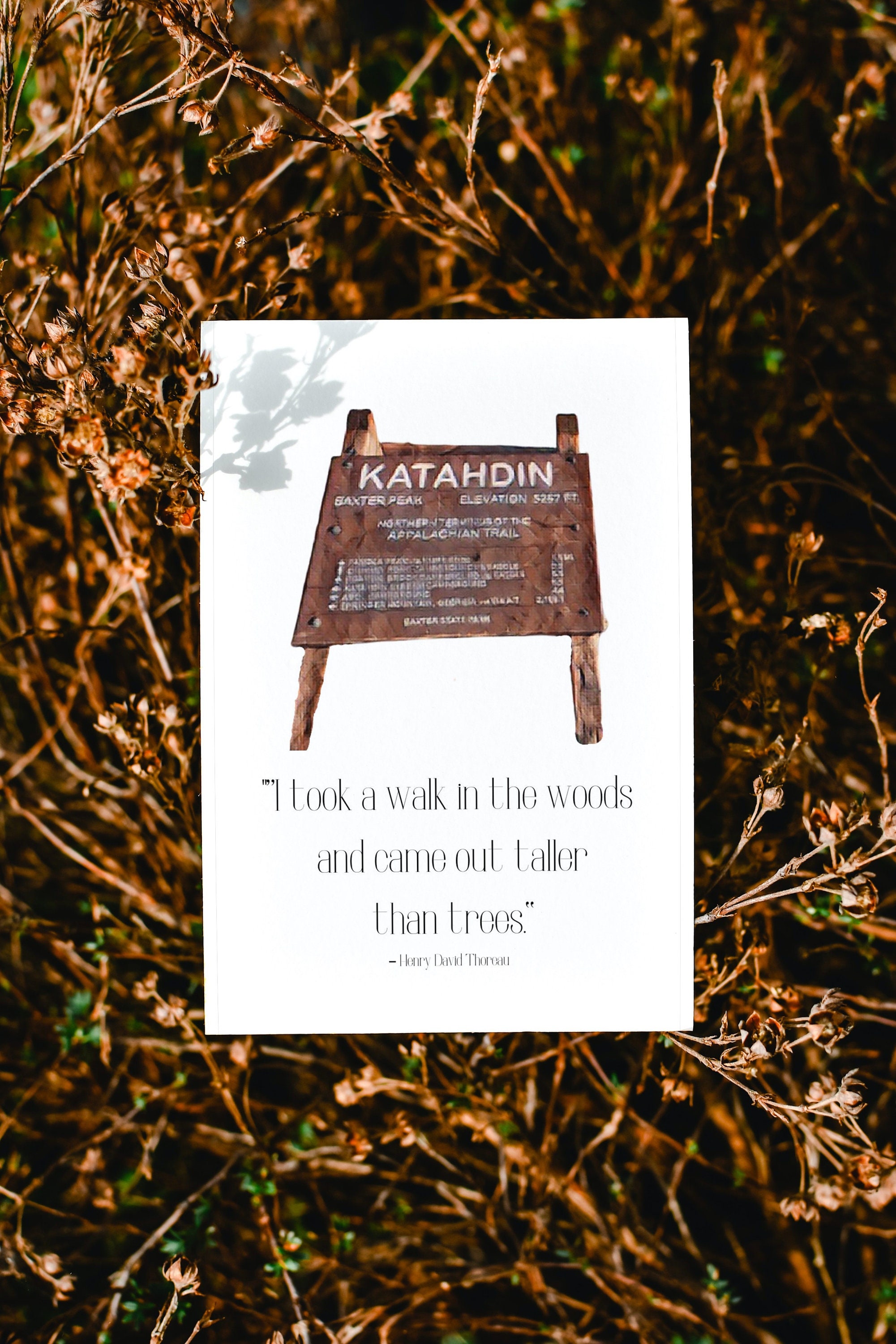 Appalachian Trail Mount Katahdin Summit Sign Card - Etsy