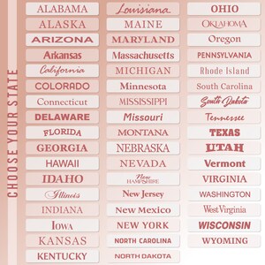 Wedding License Plate - Just Married Mr and Mrs - Wedding Car License ...