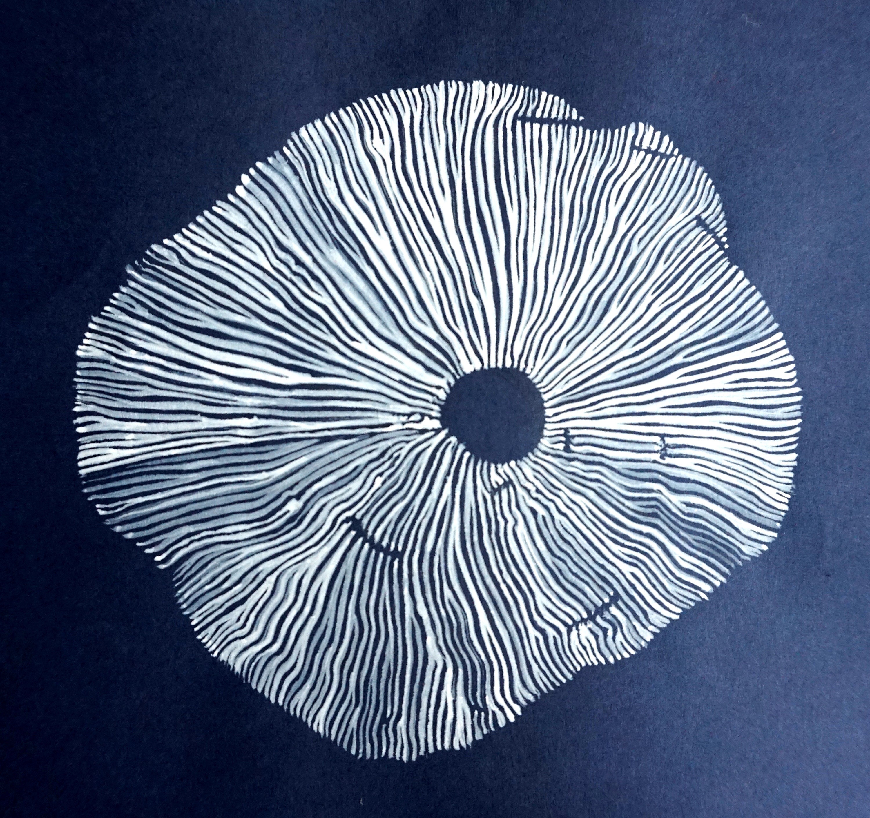 Mushroom Spore Print Painting - Etsy