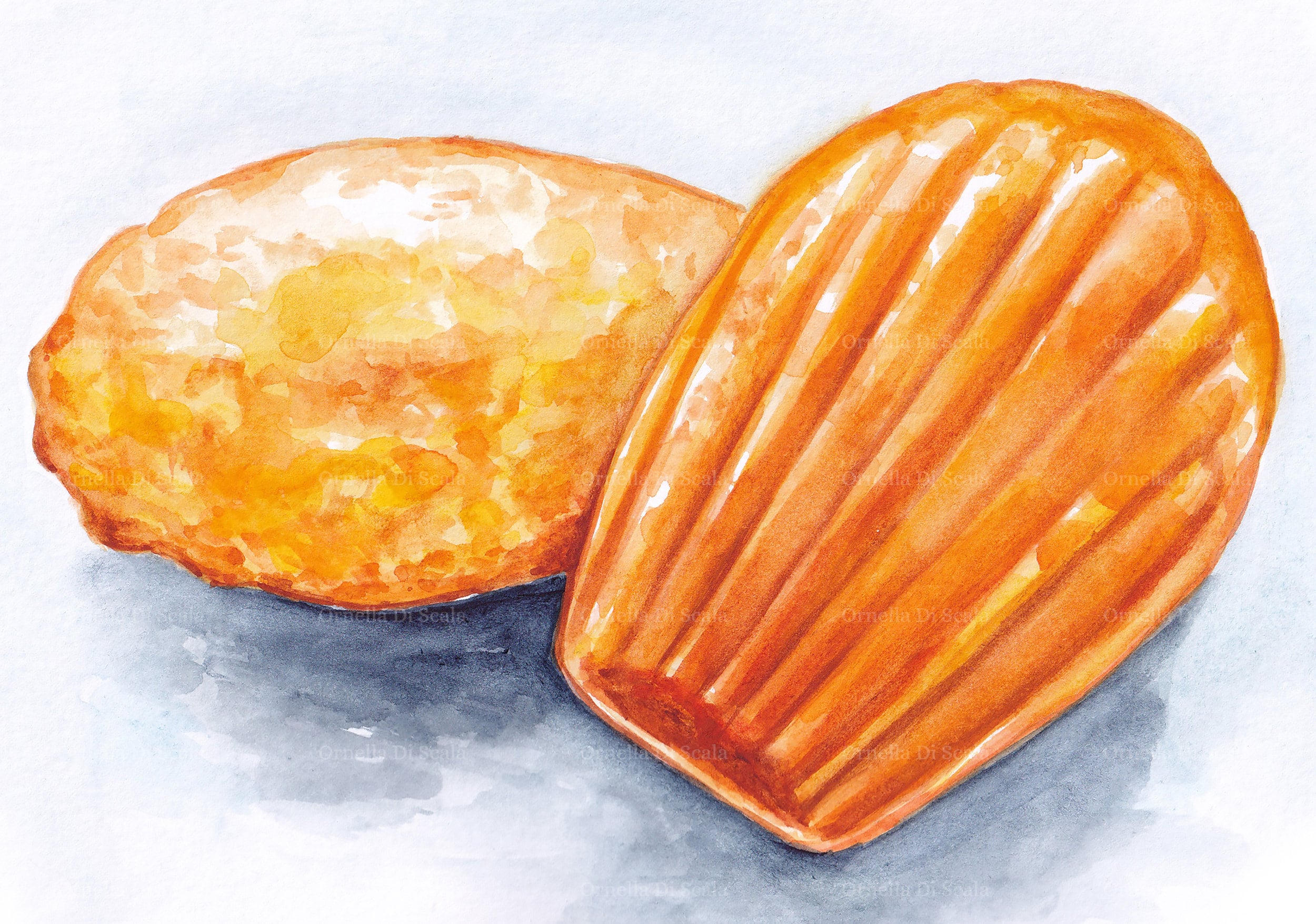 Madeleine Watercolor Print on 350 Gsm Paper, French Pastry Art, Perfect ...