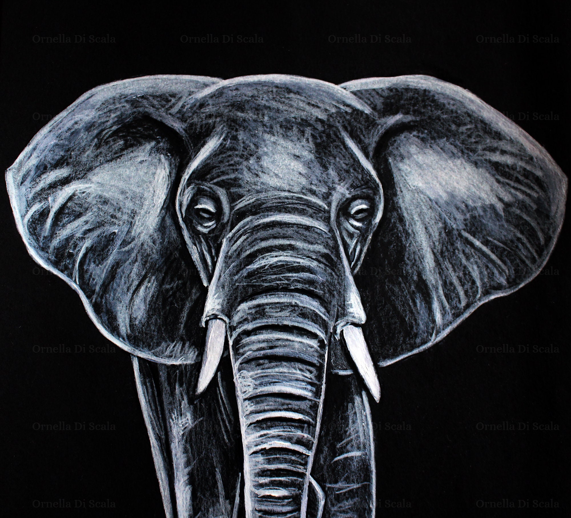 Elefant handgemalt mit Acryl und weißem Bleistift auf schwarzem Blatt ...