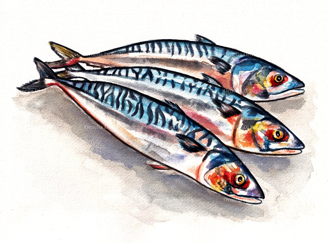 Print Mackerel Fish Watercolor Painting - Etsy