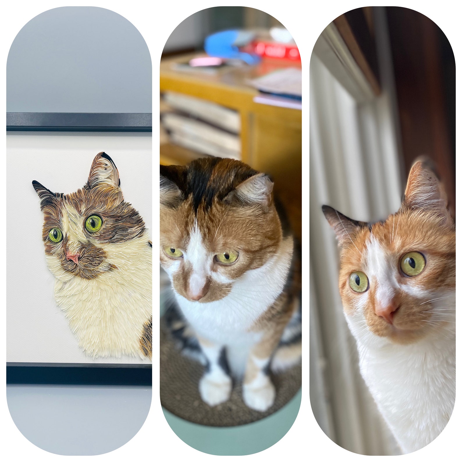 Custom Cat Portrait Quilling, Original Framed Pet Art (12x12) - Etsy